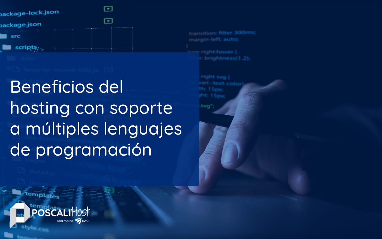 PoscaliHost | Beneficios del hosting con soporte a múltiples lenguajes ...